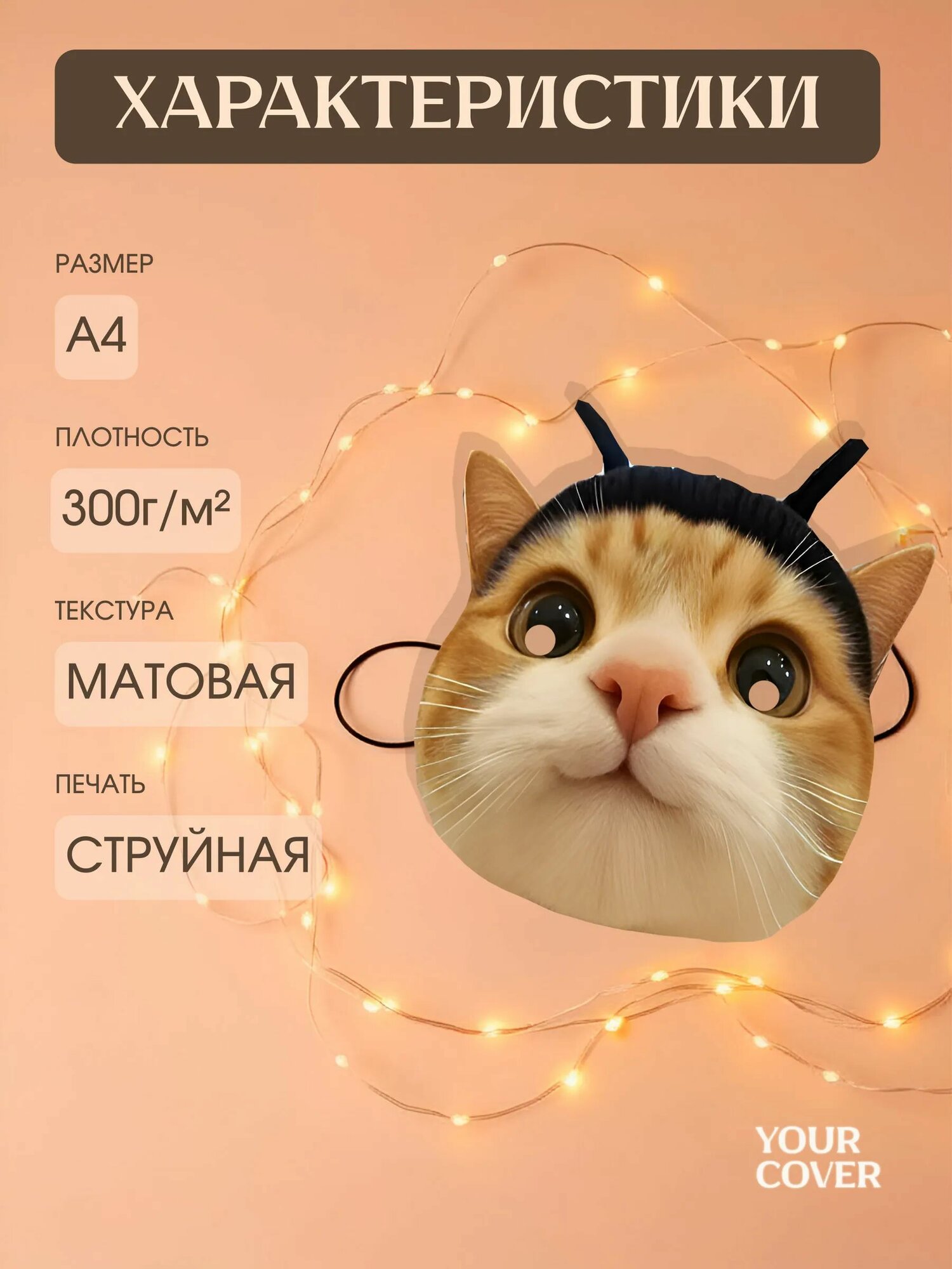 Маска Пранк Кот Мем Картон — фото 1