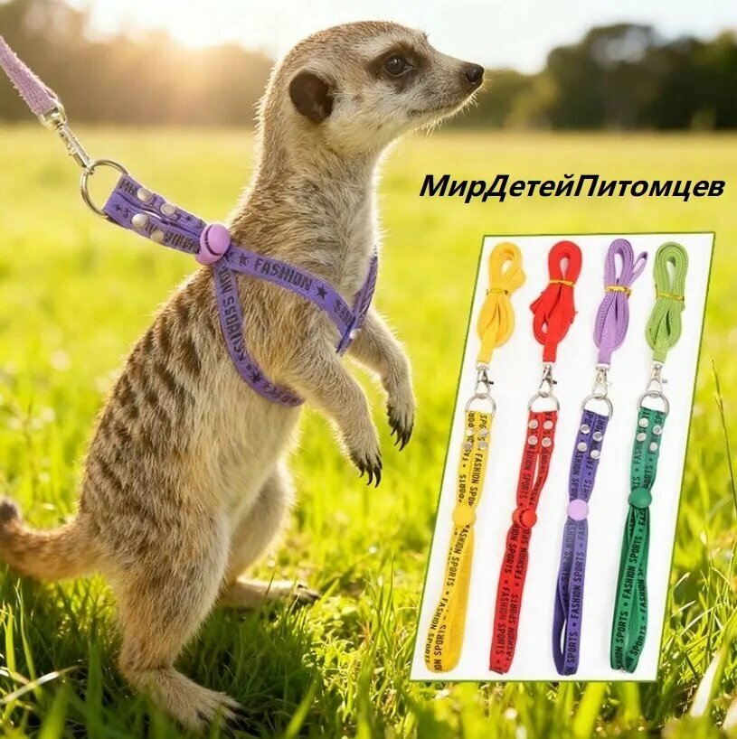 Тяговый трос для суриката и хорька, регулируемый трос для выгула домашних животных