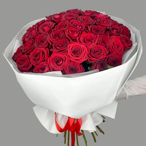 Букет красных роз 25 шт