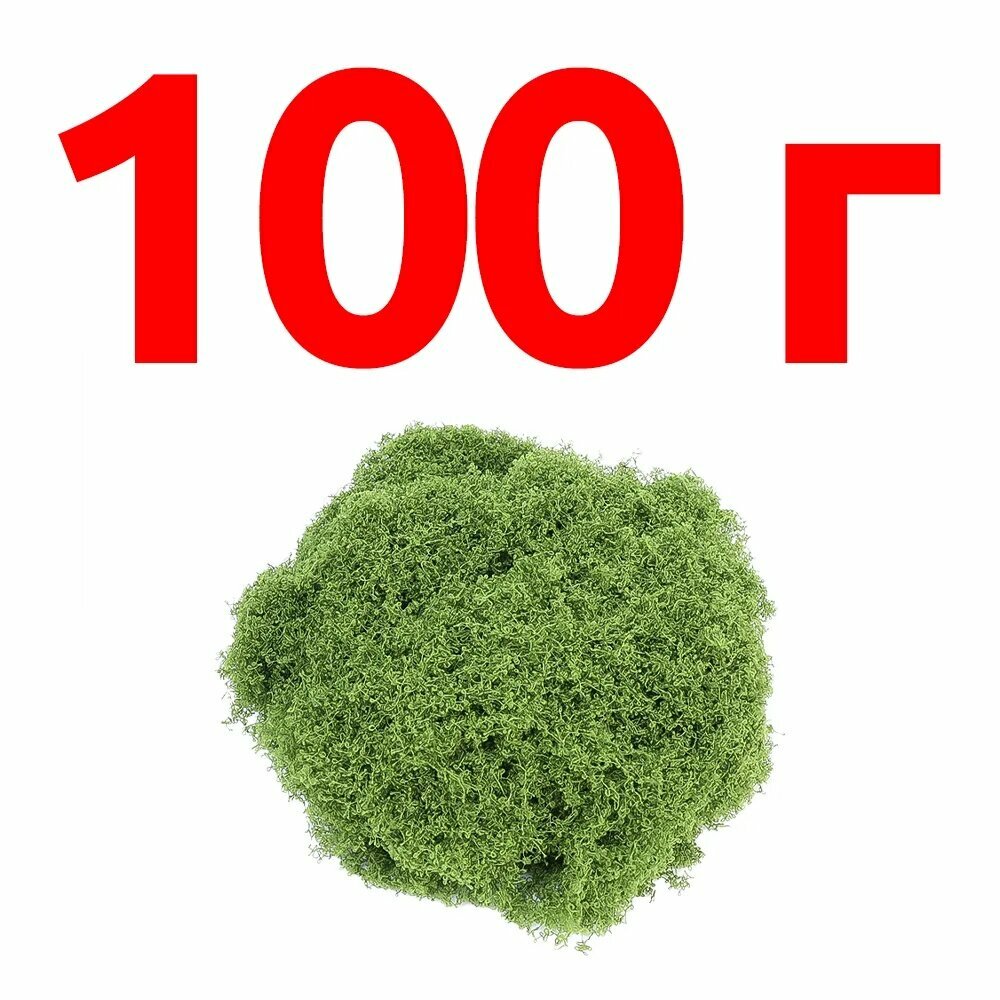 Стабилизированный мох Мох, 2 см, 100 гр