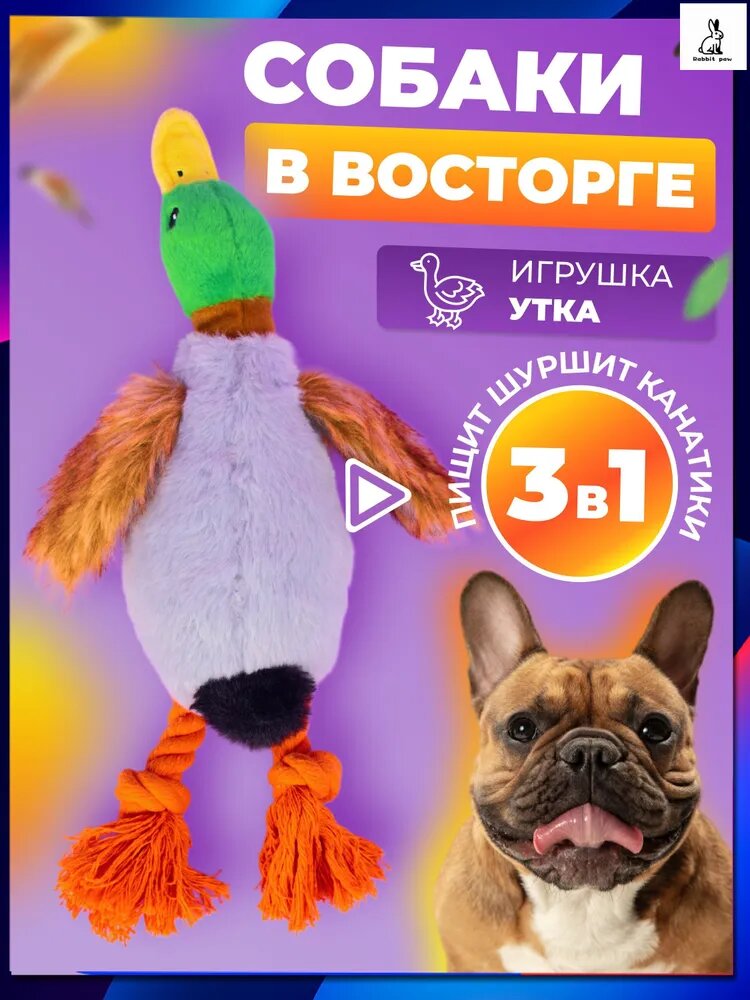 Эксклюзивная зооаксессуар