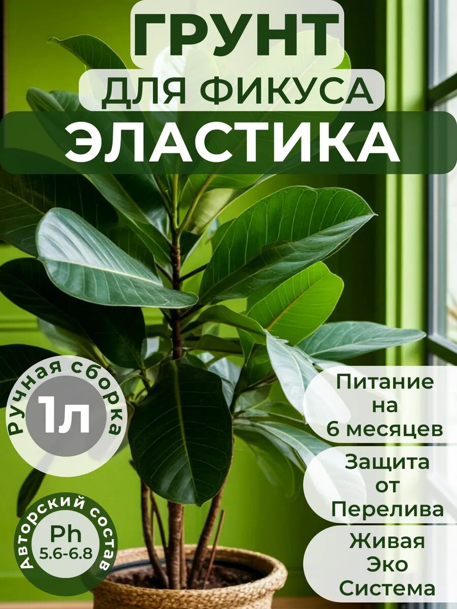 Готовый авторский грунт для Фикуса Эластика, премиум 1 л