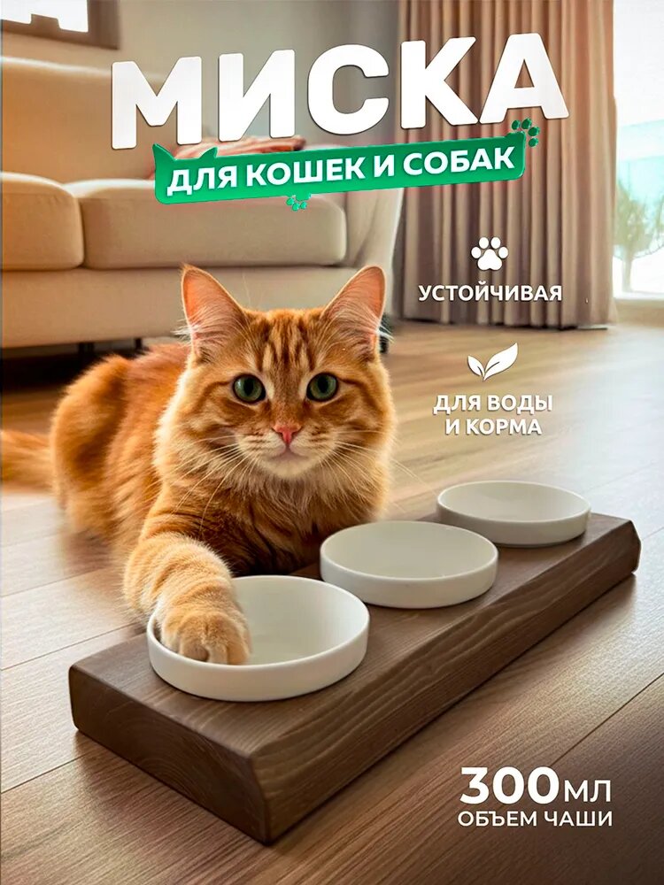 Миска для кошек керамическая на подставке и собак мелких пород, тройная кормушка для кошки