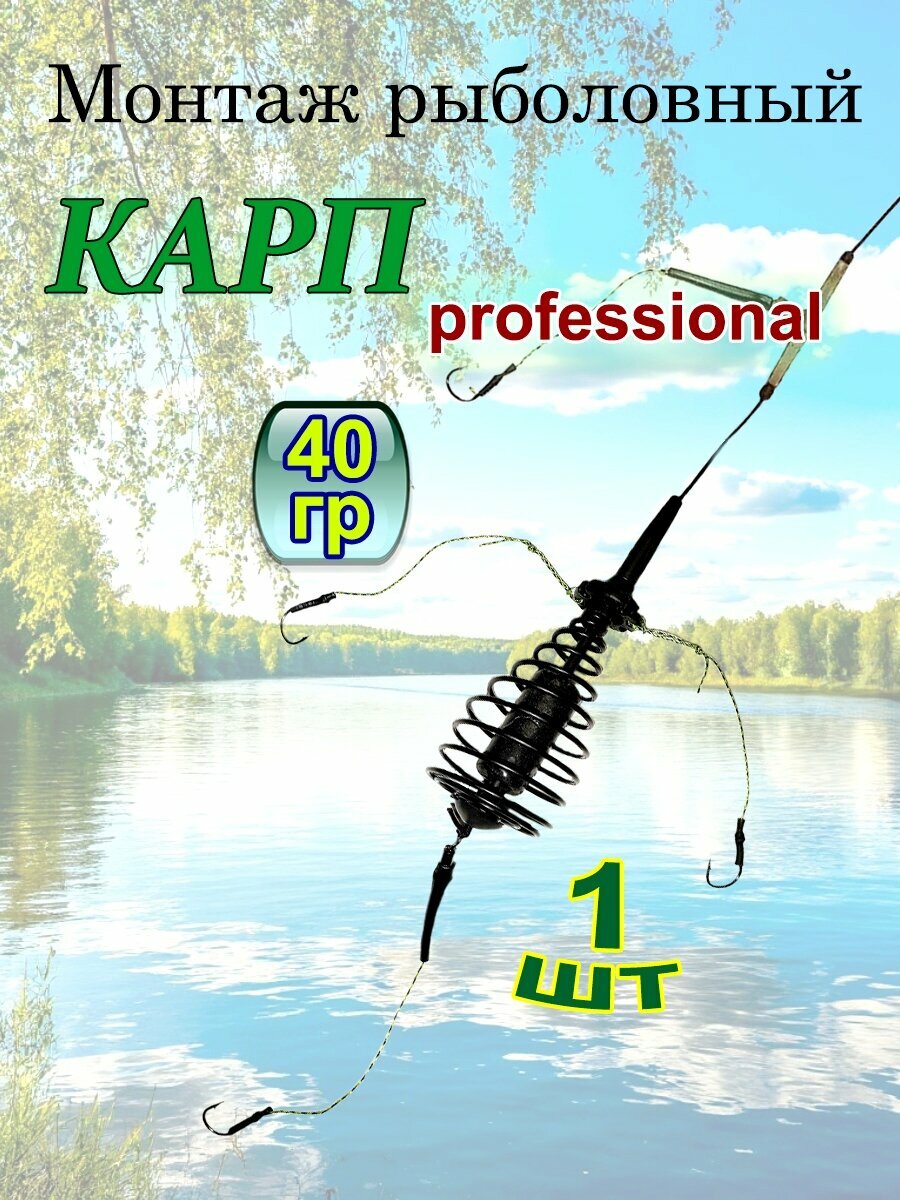 Оснащённый рыболовный монтаж Professional, 40 грамм, 1 штука.