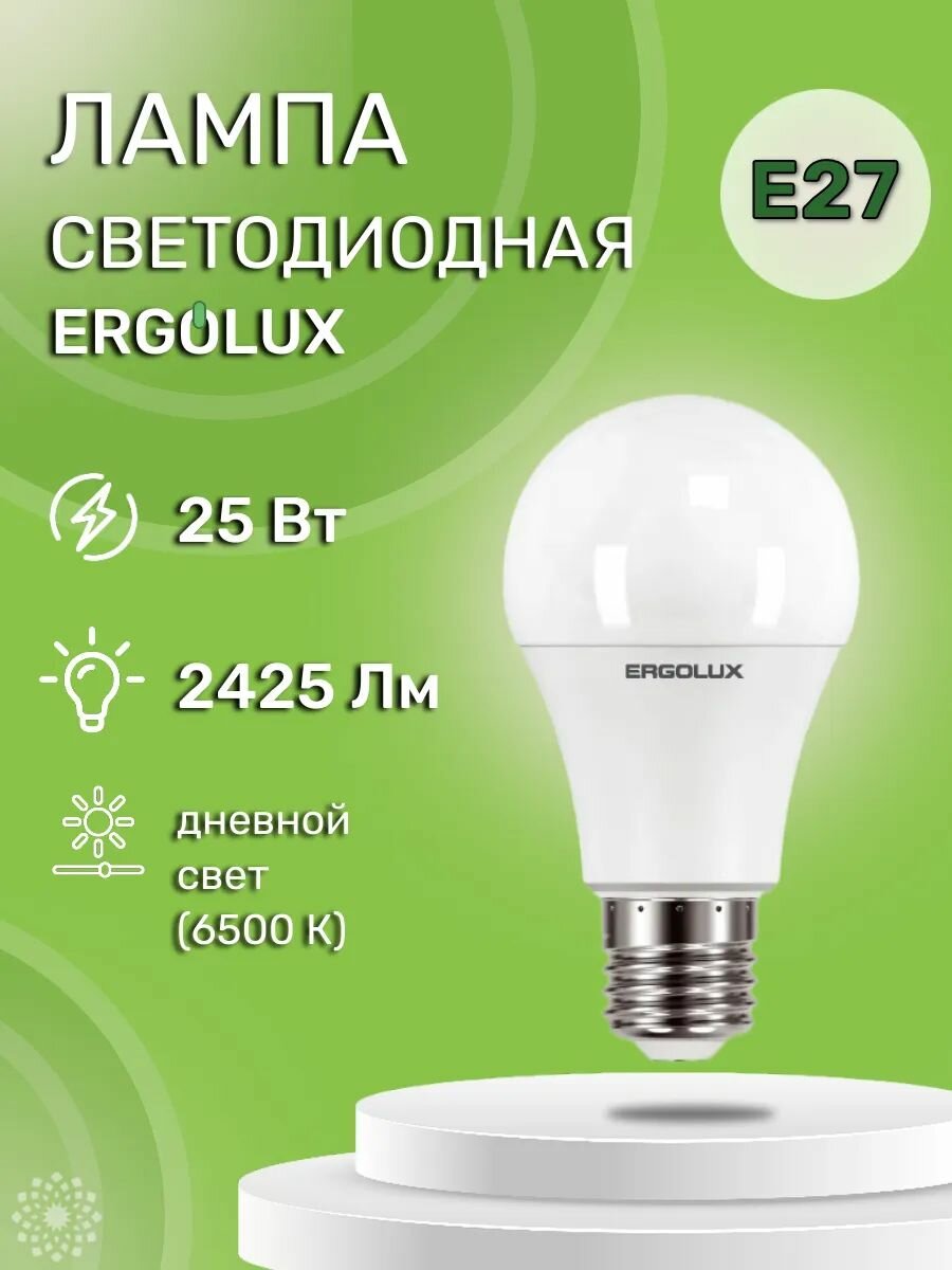 Светодиодная лампа Ergolux LED-A65-25W-E27-6K