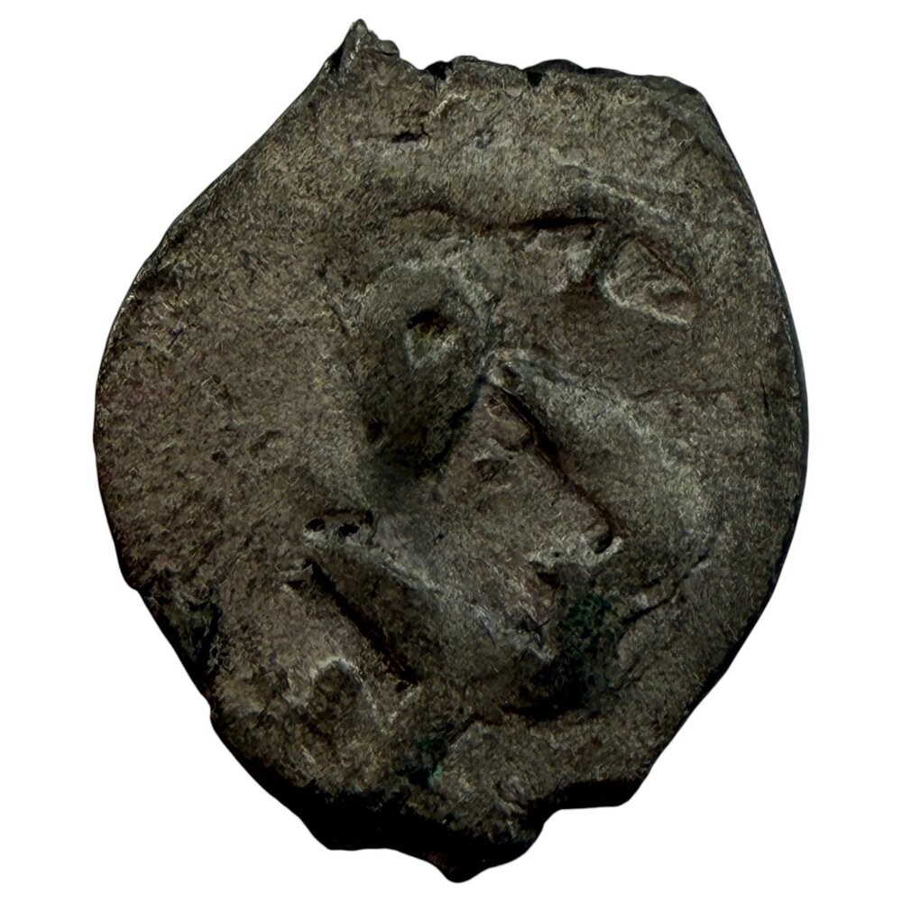 Золотая Орда (Улу-Мухаммед) 1 акче 1421-1455 гг.