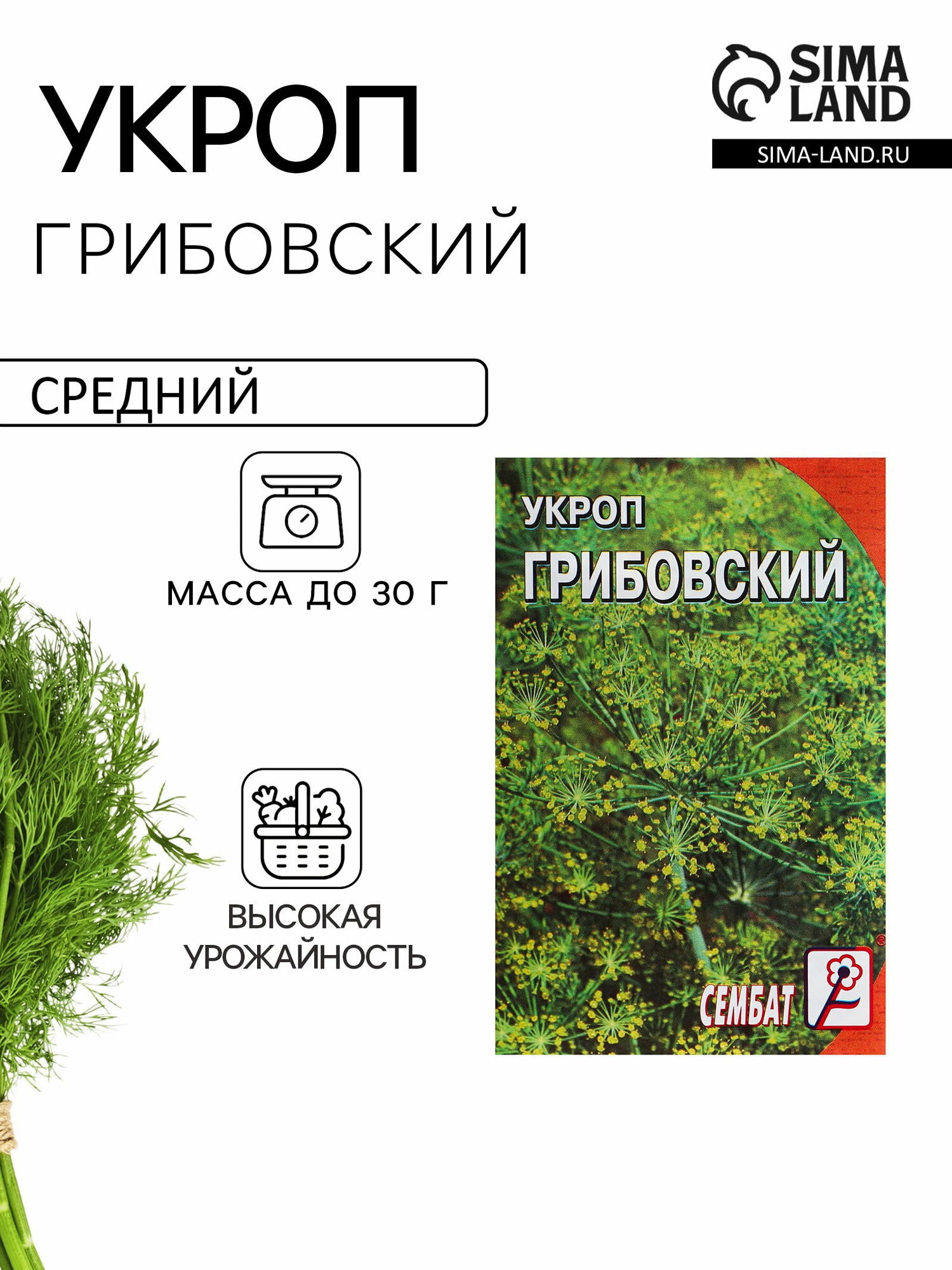 Семена Укроп "Грибовский", 3 г, посев (посадка) в грунт: апрель, 4 шт.