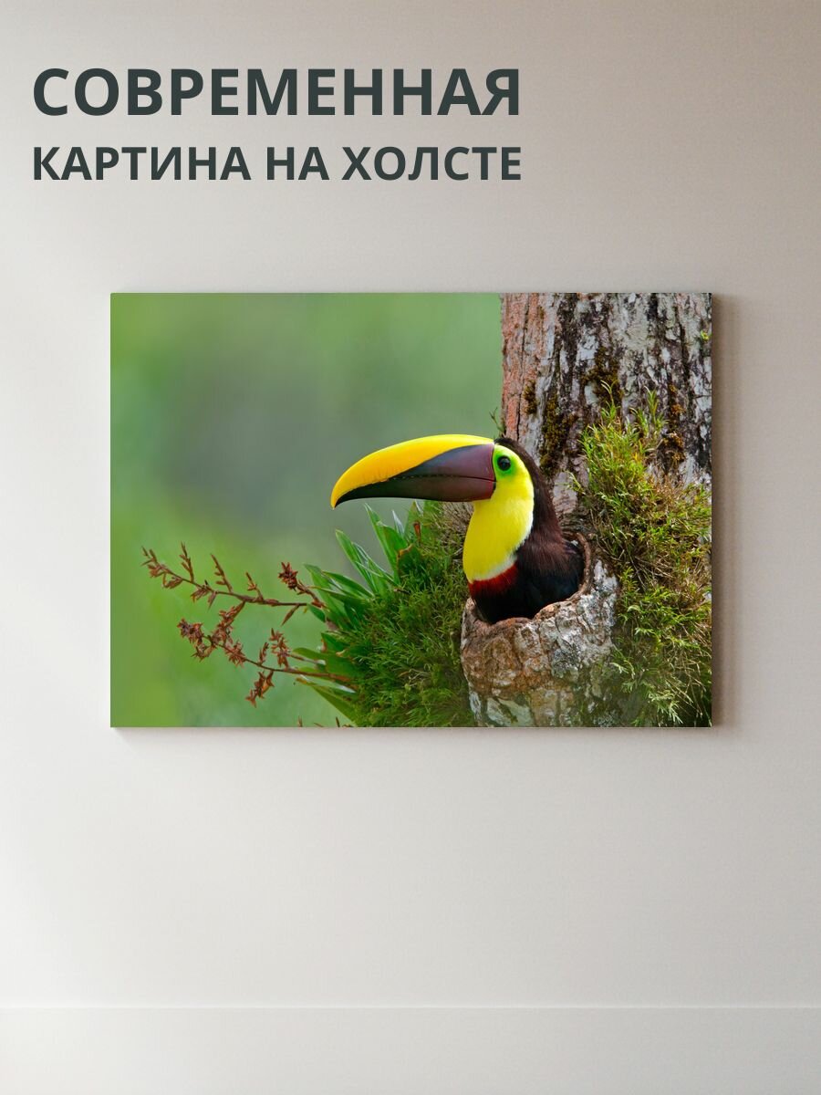 Картина на холсте Желтый клюв птицы 70x50 см