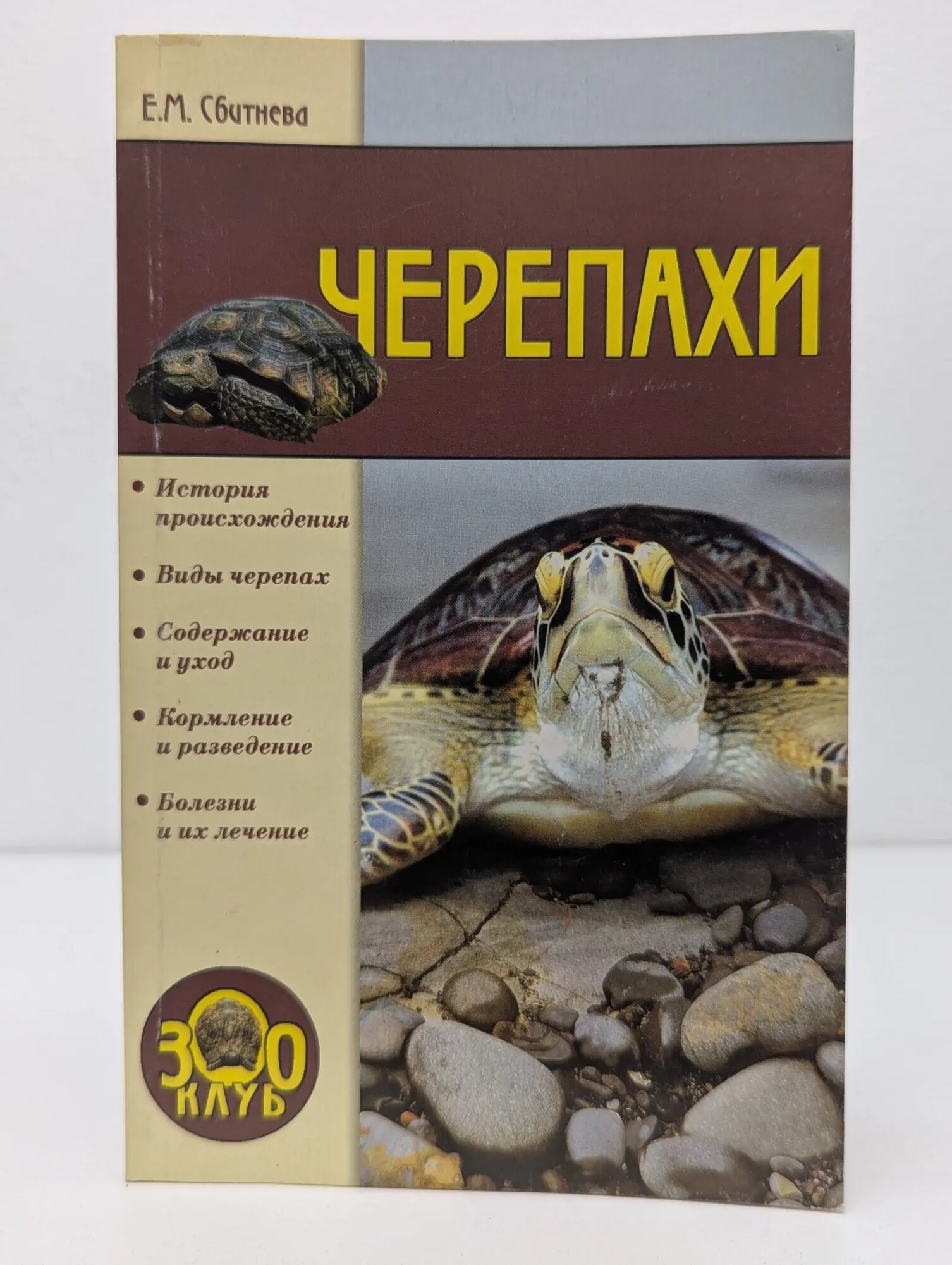 Зооклуб. Черепахи Сбитнева Евгения Михайловна 2006