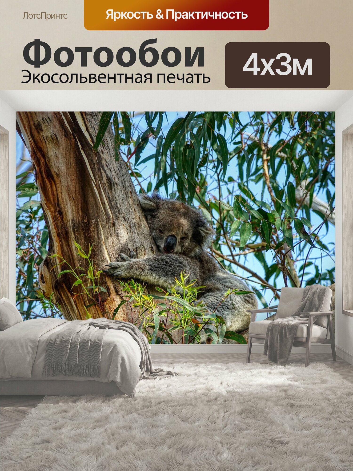 Фотообои "Коала, животное, дерево" 400x300 см. экосольвентная печать