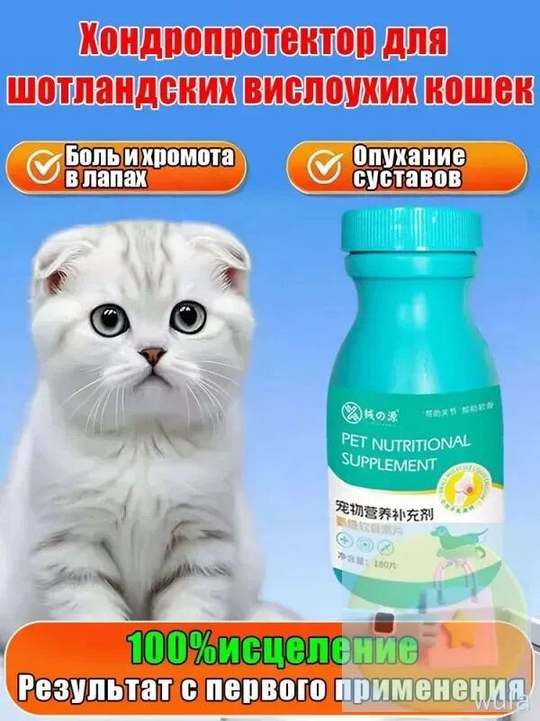 Хондропротектор для шотландских вислоухих кошек