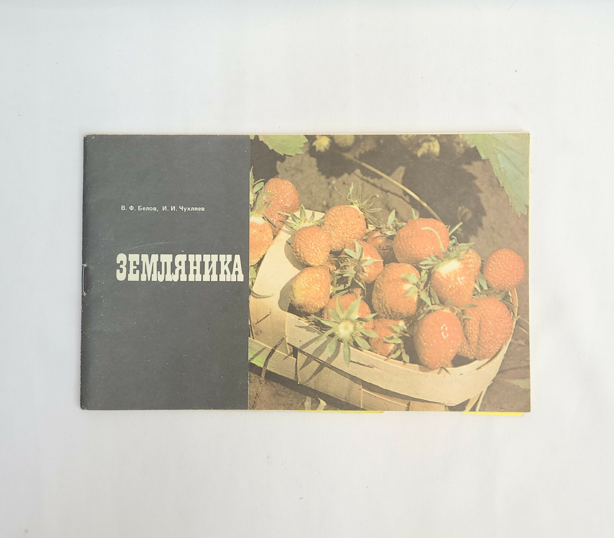 Владимир Белов. Земляника. Книга СССР, садоводство