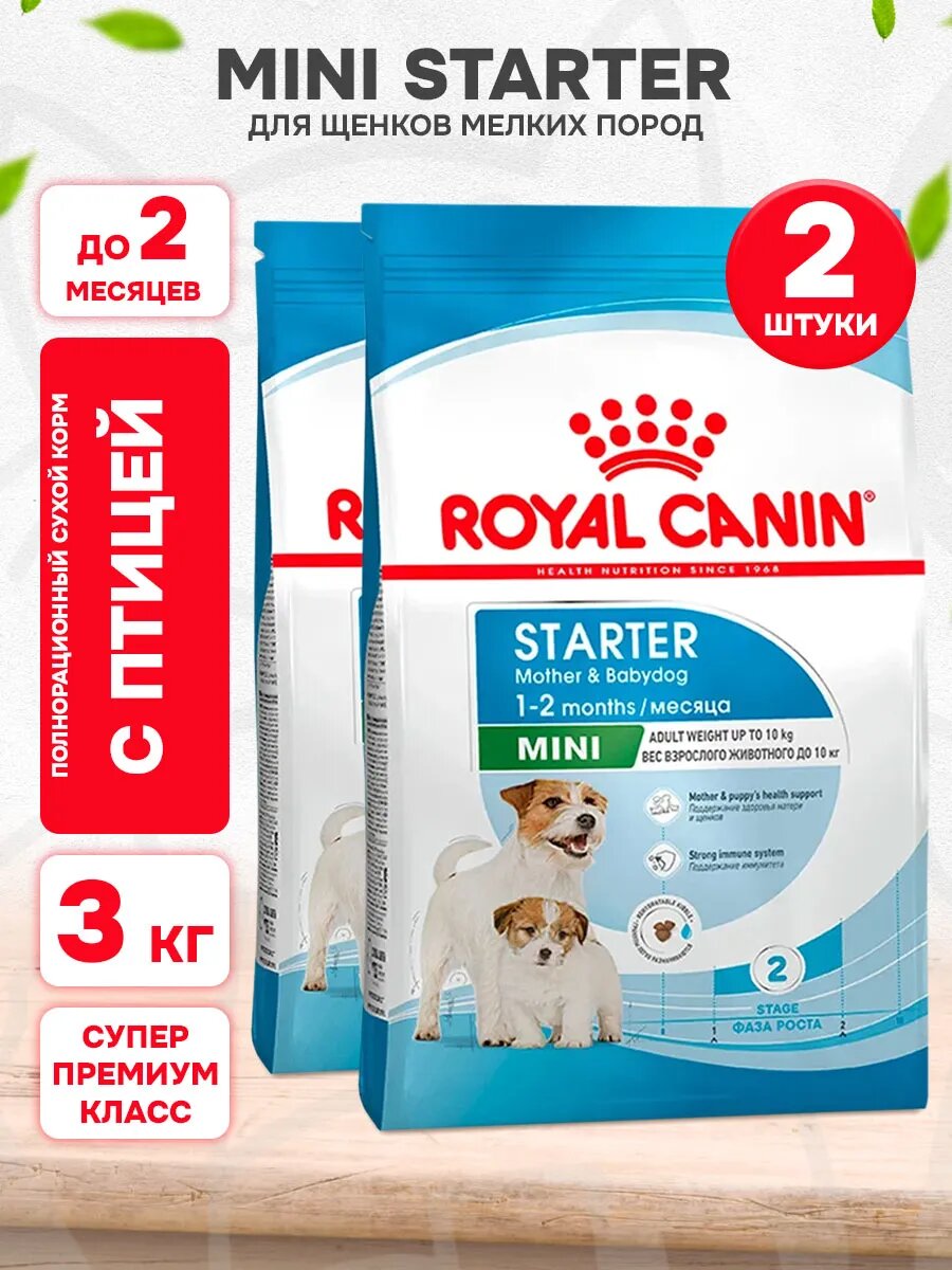Корм сухой Royal Canin Mini Starter для щенков маленьких пород до 2 месяцев, беременных и кормящих сук, 3 кг х 2 шт
