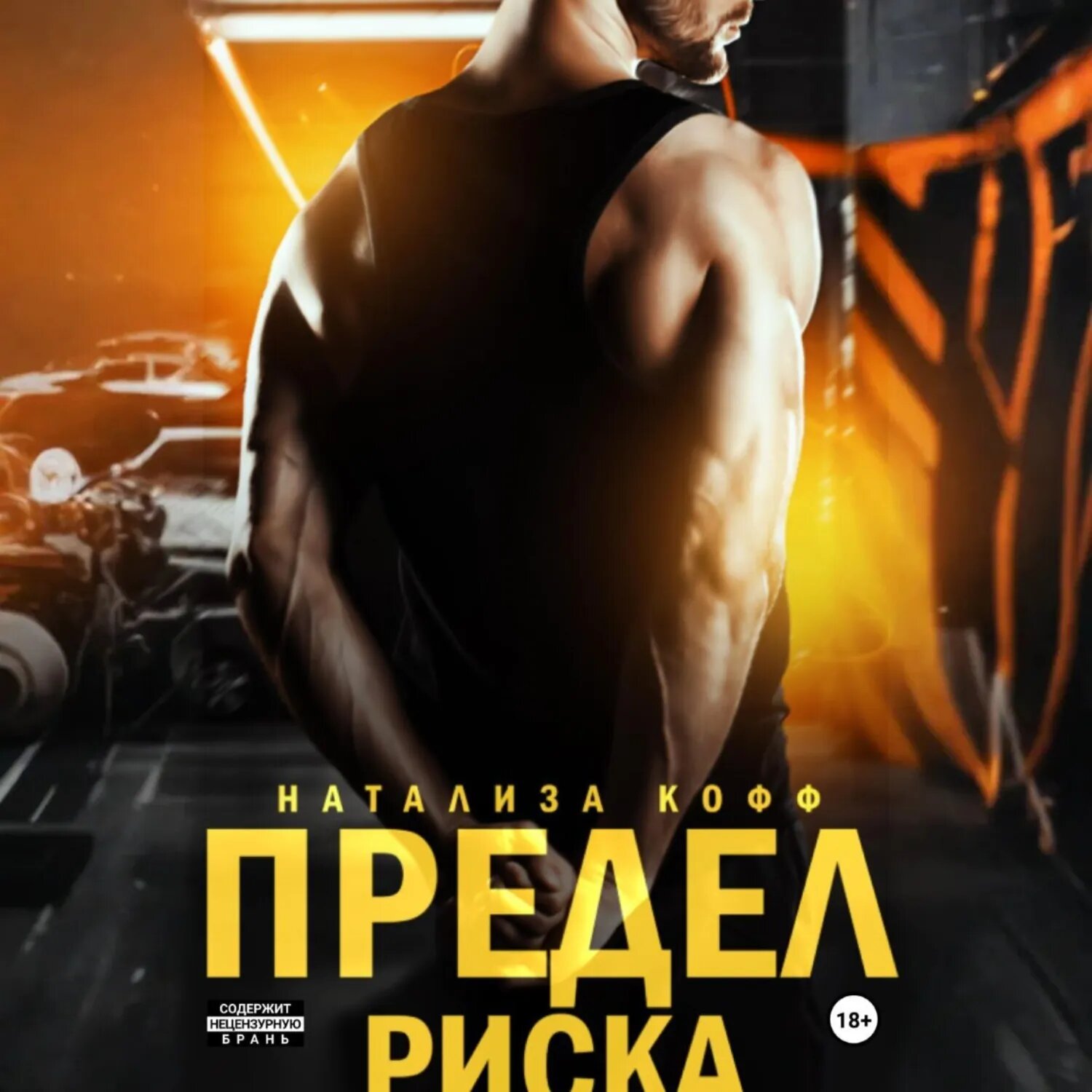 Предел риска [Аудиокнига]