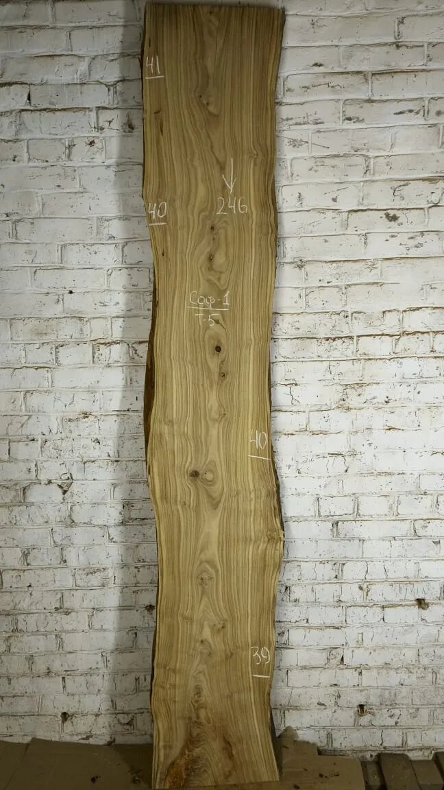 Слэб Японская софора Соф1