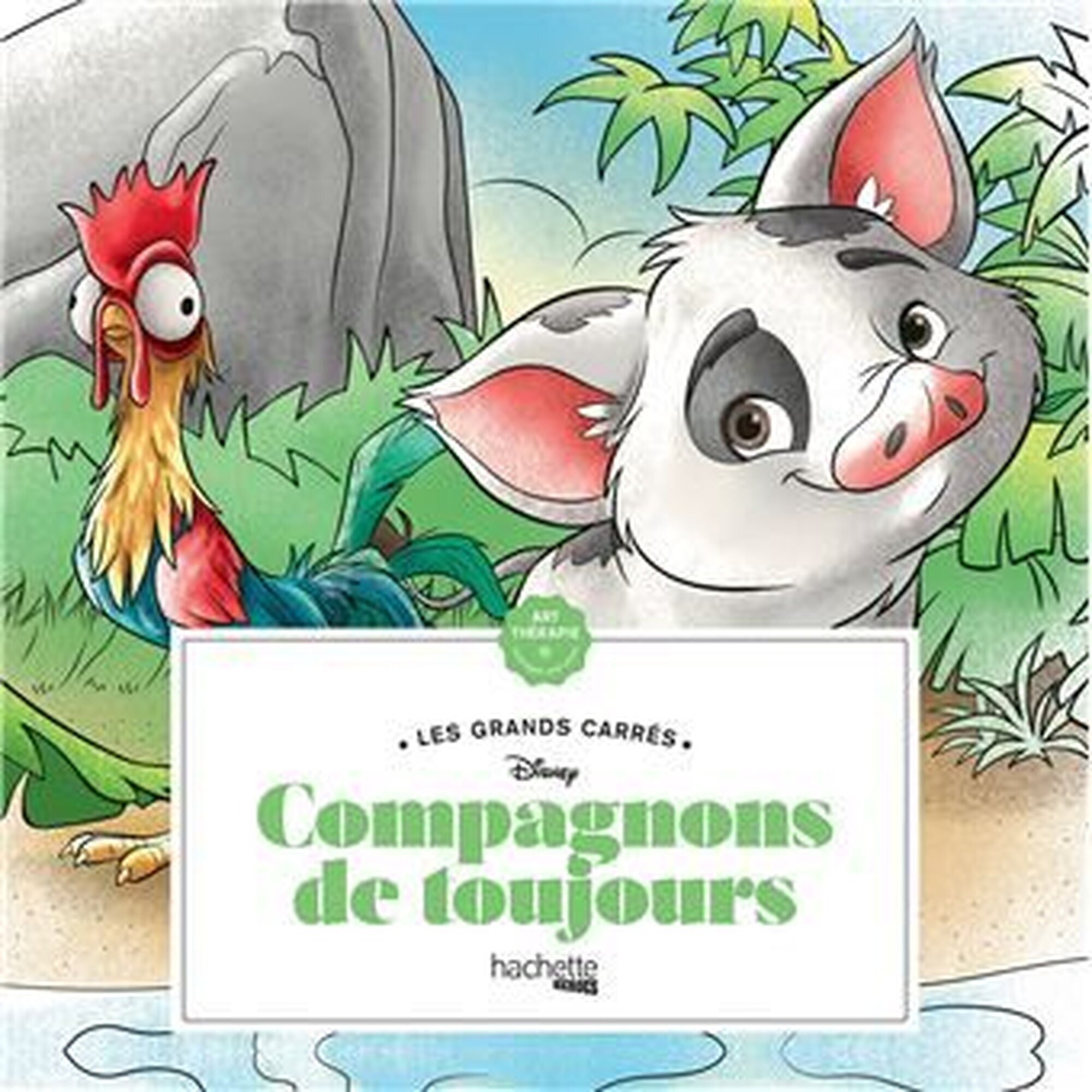 Книга-раскраска Hachette Les Grands Carres - DISNEY Compagnons de toujours, 96 стр - 2019461501