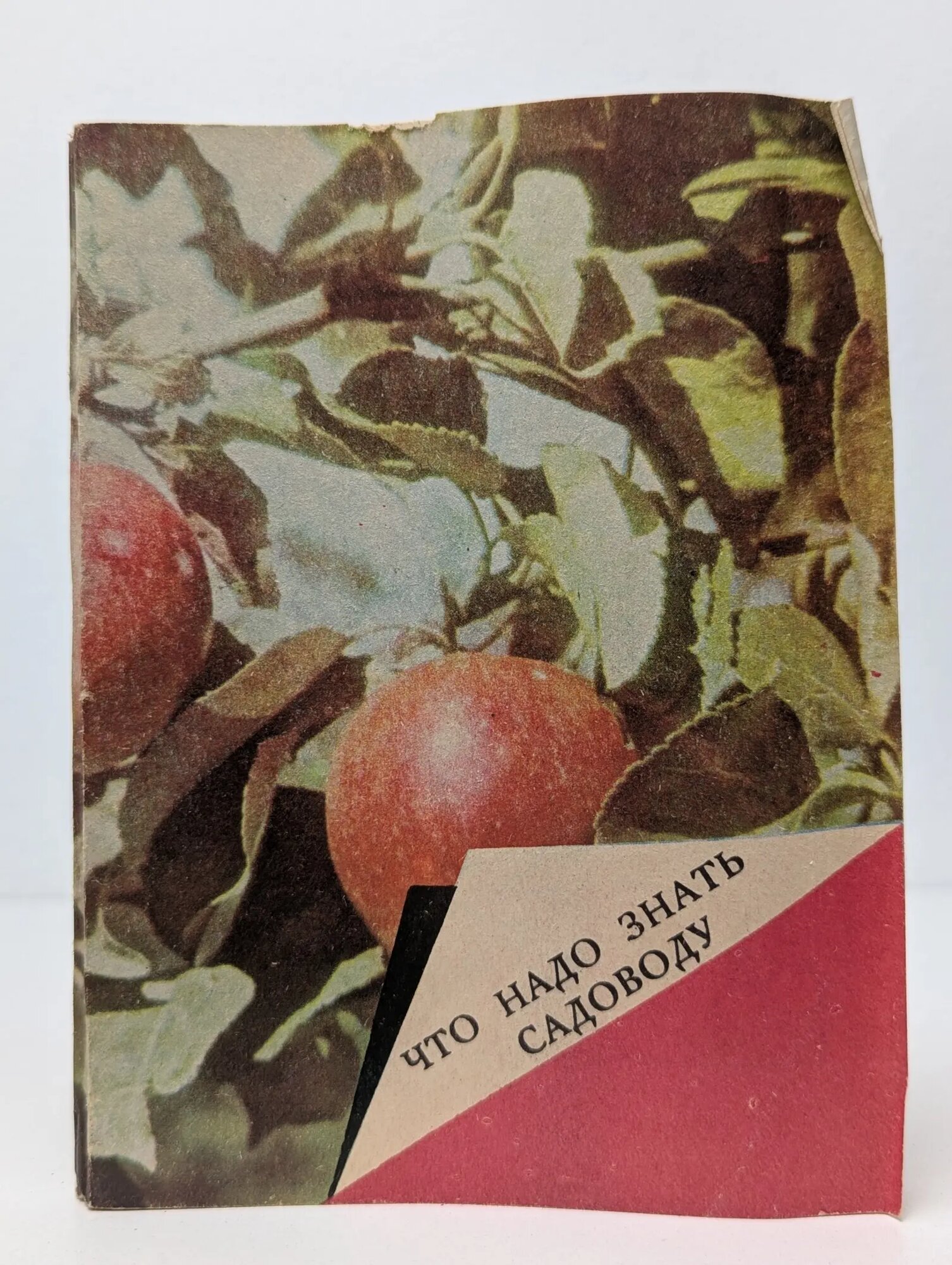 Что надо знать садоводу Сборник 1982
