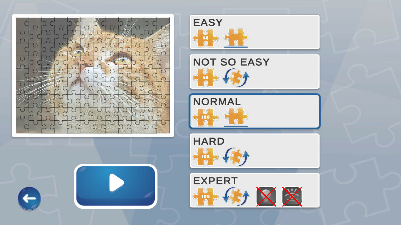 Jigsaw Puzzle Fever PC Steam Ключ | купить цифровой ключ для активации в России