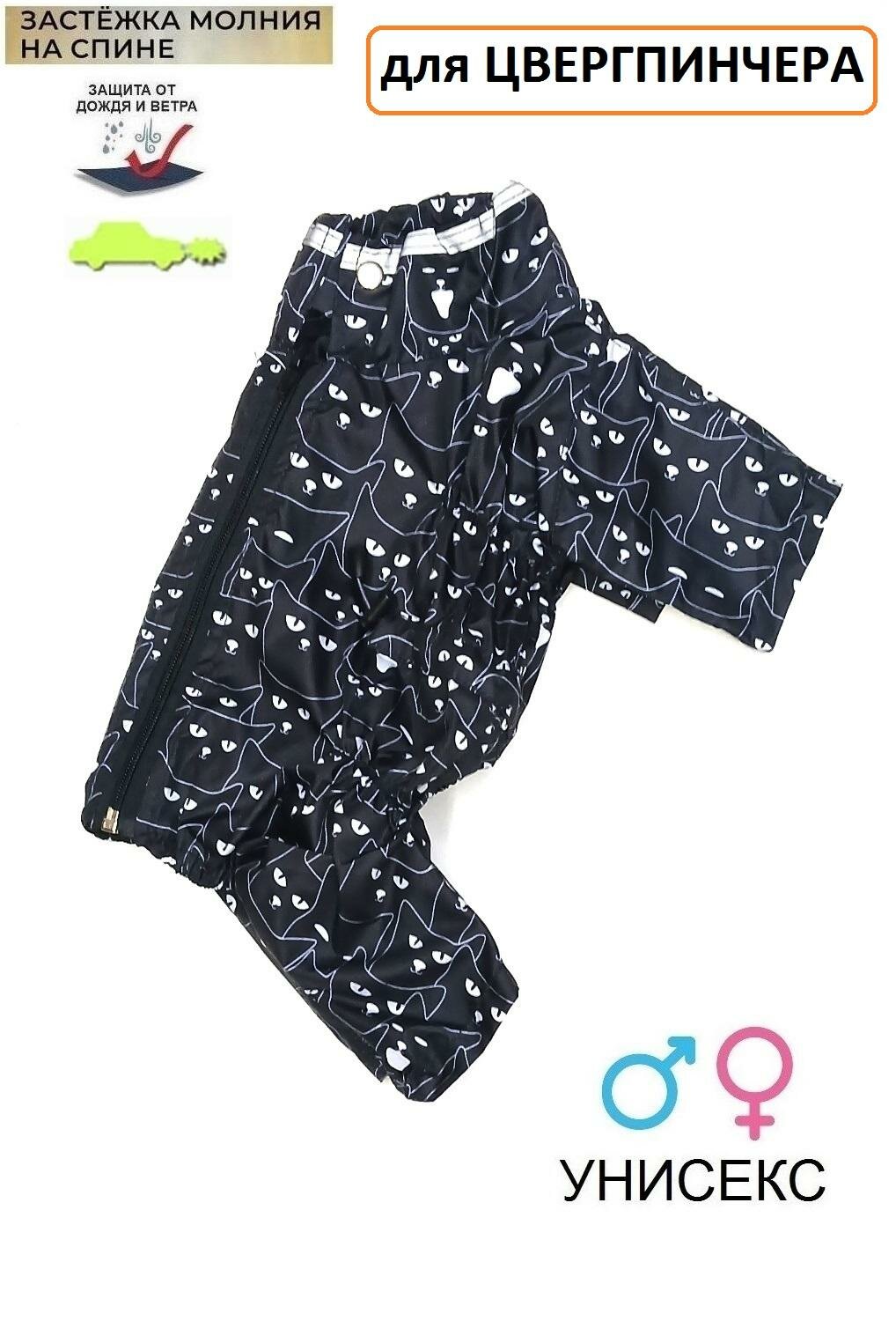 Одежда для Цвергпинчера №1. Комбинезон-Дождевик по спинке 27см (27см )