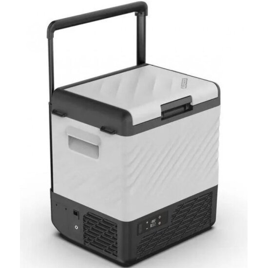 Автомобильный холодильник Alpicool P22 (12/24)