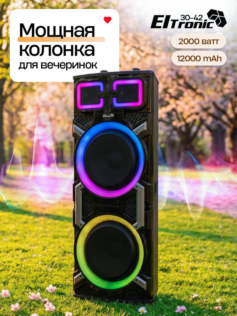 Колонка беспроводная ElTRONIC 30-42, 2 динамика 15", 2 беспроводных микрофона, Bluetooth, FM, TWS