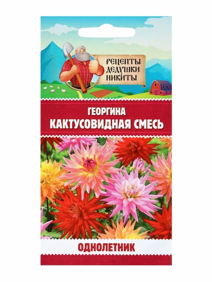 Семена цветов Георгина Кактусовидная смесь , 0.1 г, Рецепты дедушки Никиты