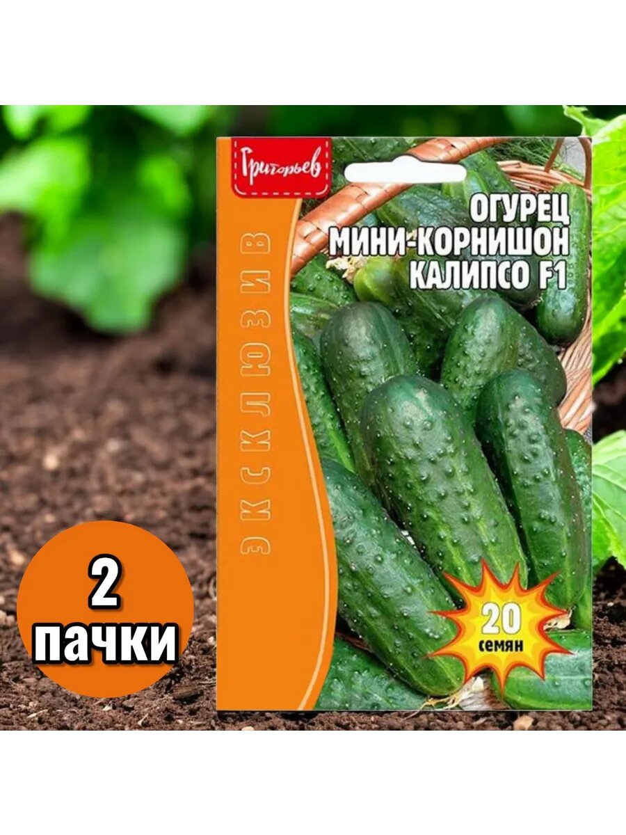 Семена Огурец мини корнишон Калипсо F1 (2 пачки по 20 сем.)