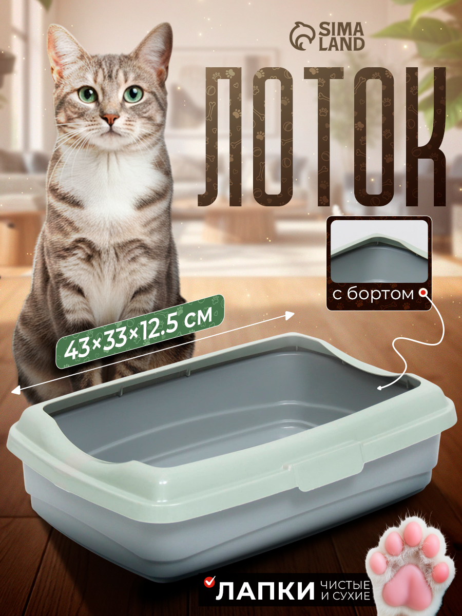 Лоток для кошек Atlantis Plast "Стандарт" большой, с бортиком, 43 х 33 х 12,5 см, серый