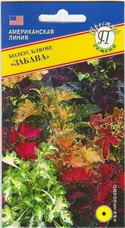 Колеус блюме Забава Смесь 10 шт, Семена Престиж