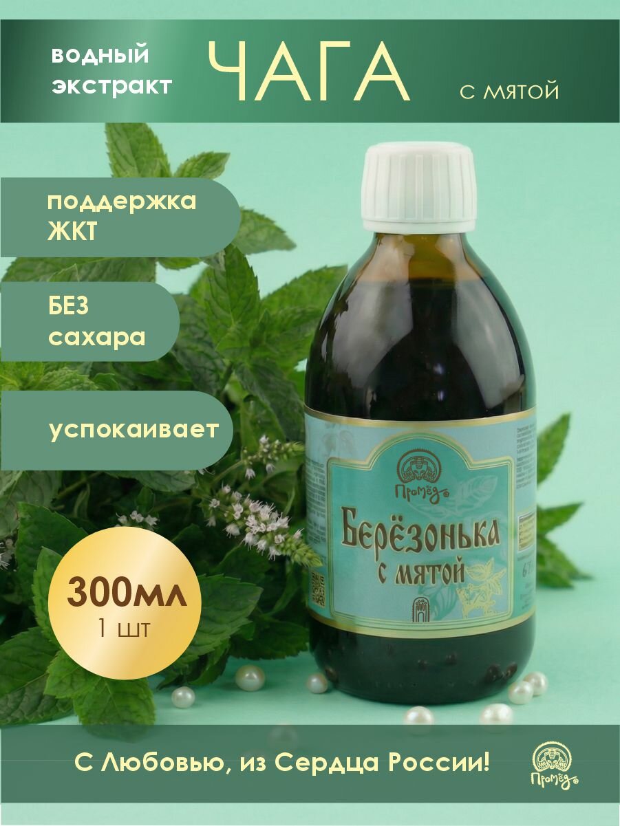 Водный настой чаги "Берёзонька с мятой" 300 мл