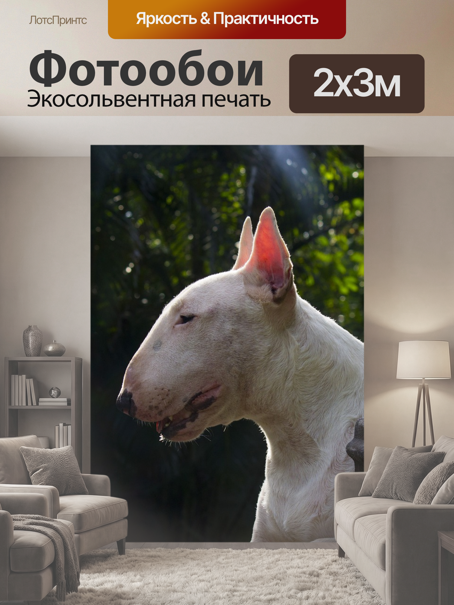 Фотообои "Бультерьер, собака, белая собака" 200x300 см. экосольвентная печать