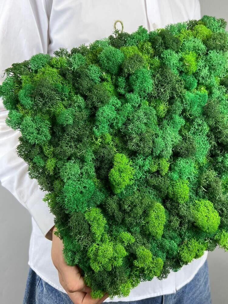 Панно "Стабилизированный мох", бежевое, зеленое, коричневое, темно-коричневое, черное