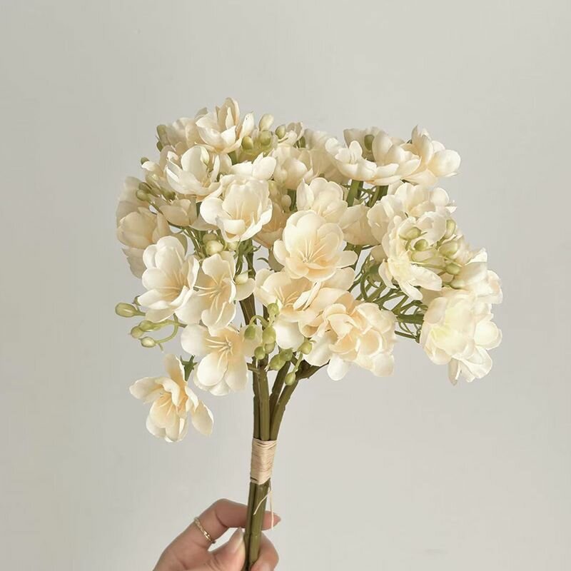 Стабилизированные цветы, Жасмин, подарок