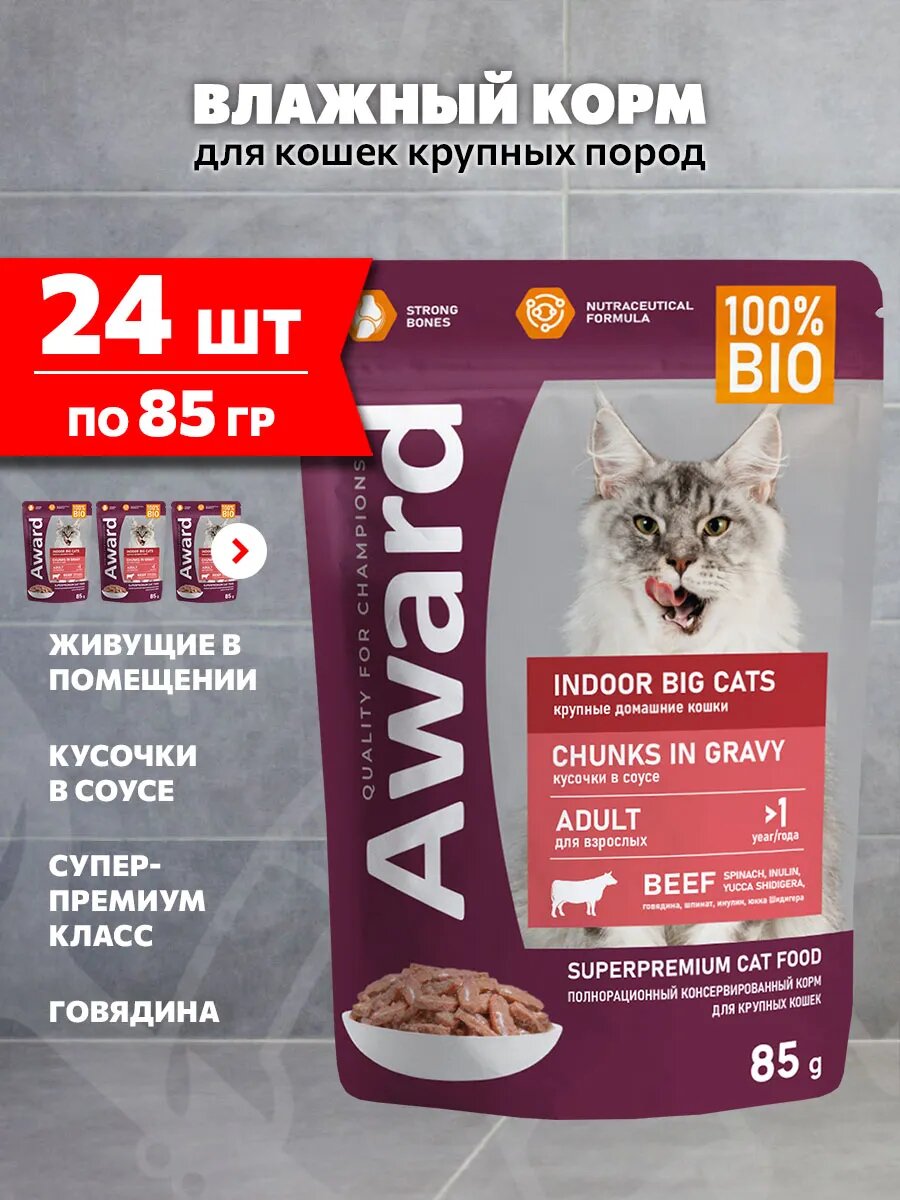 Корм влажный Award Indoor Big Cats Beef для взрослых кошек крупных пород живущих дома, говядина в соусе, 85 г 24 шт