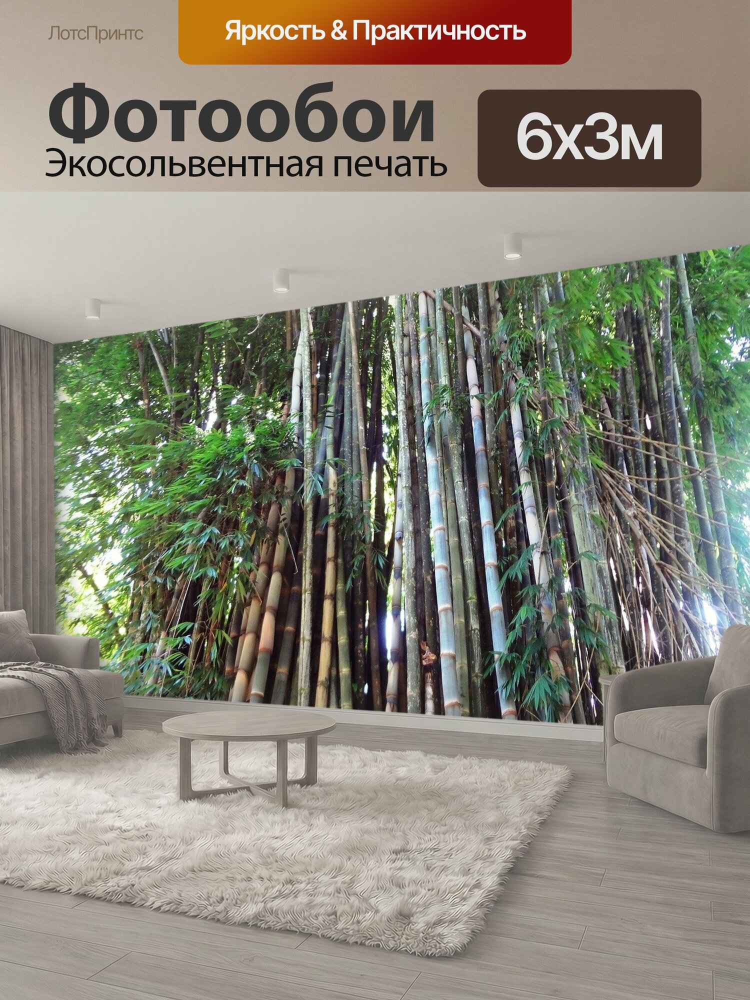 Фотообои "Бамбук, бамбуковая роща" 600x300 см. экосольвентная печать