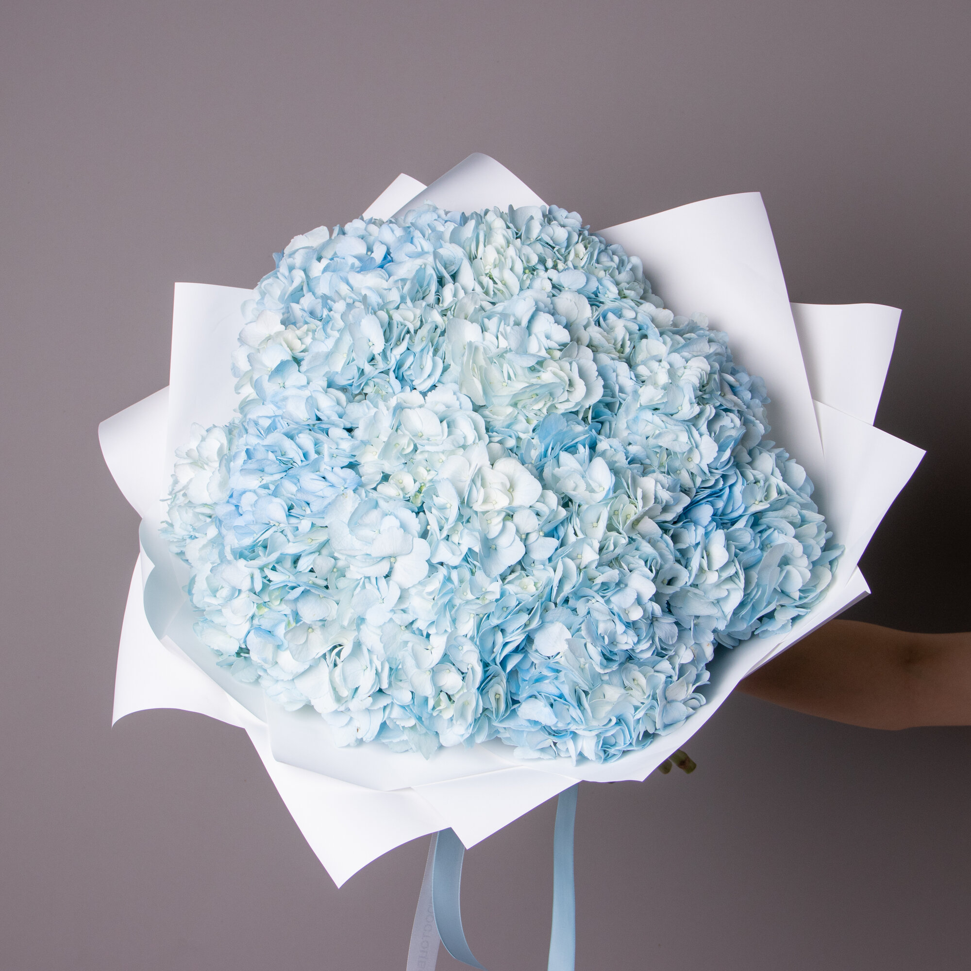 Букет Гортензия "Скай Блю" 9 шт Высота 60 см в коробке и аквабоксе от "Простоцветы"