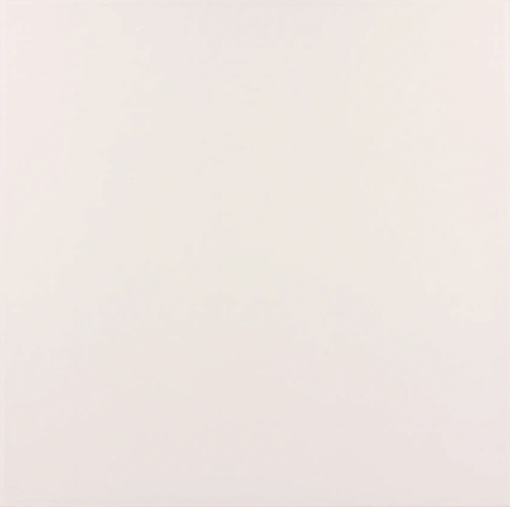 Керамогранит EQUIPE RIVOLI WHITE матовый 20x20 25шт. (цена за 1 уп - 1м2)