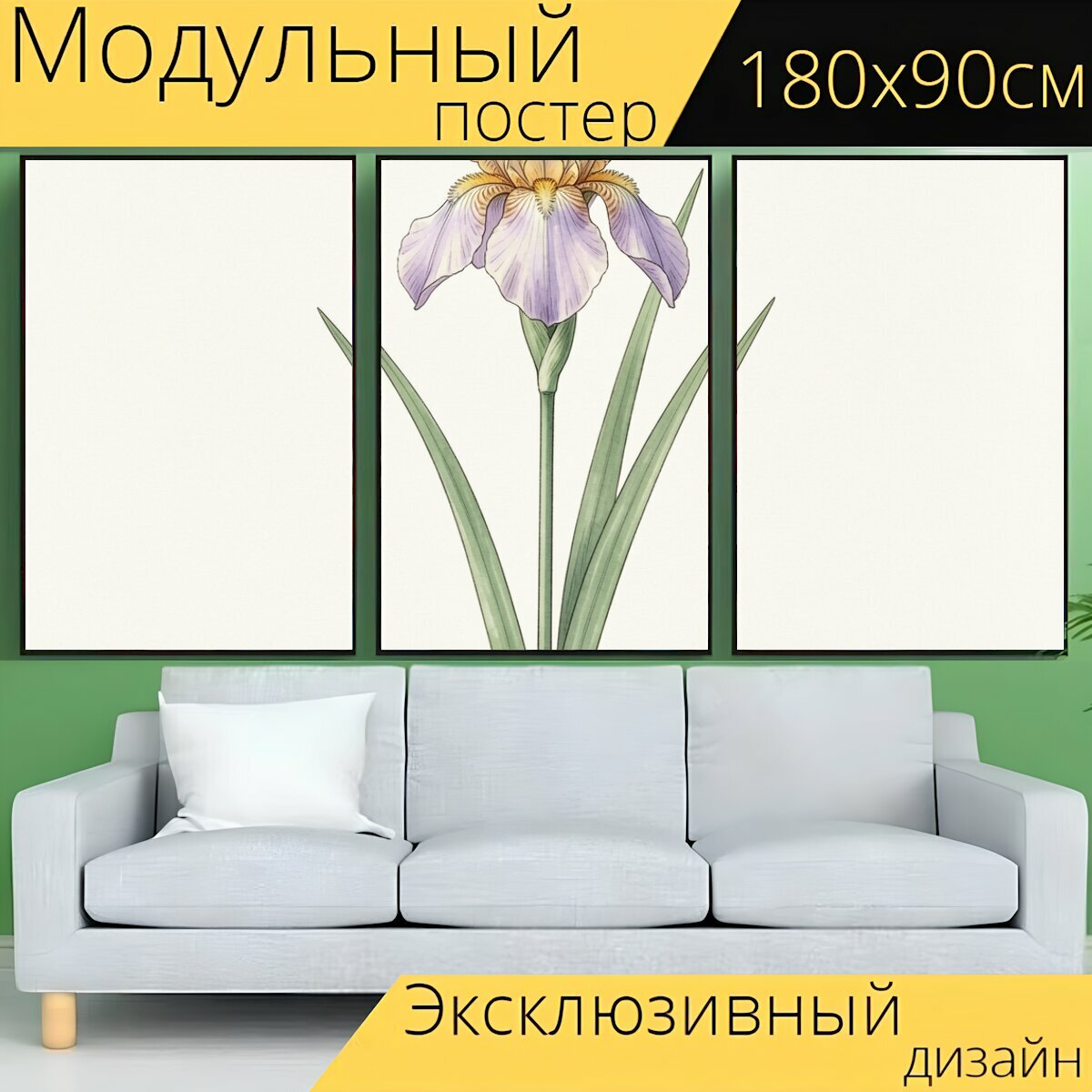 Модульный постер "Нежный ирис на светлом фоне. Изящный ботанический рисунок цветка с тонкими лепестками в сиренево-кремовой гамме и." 180 x 90 см. для интерьера на стену в тубусе