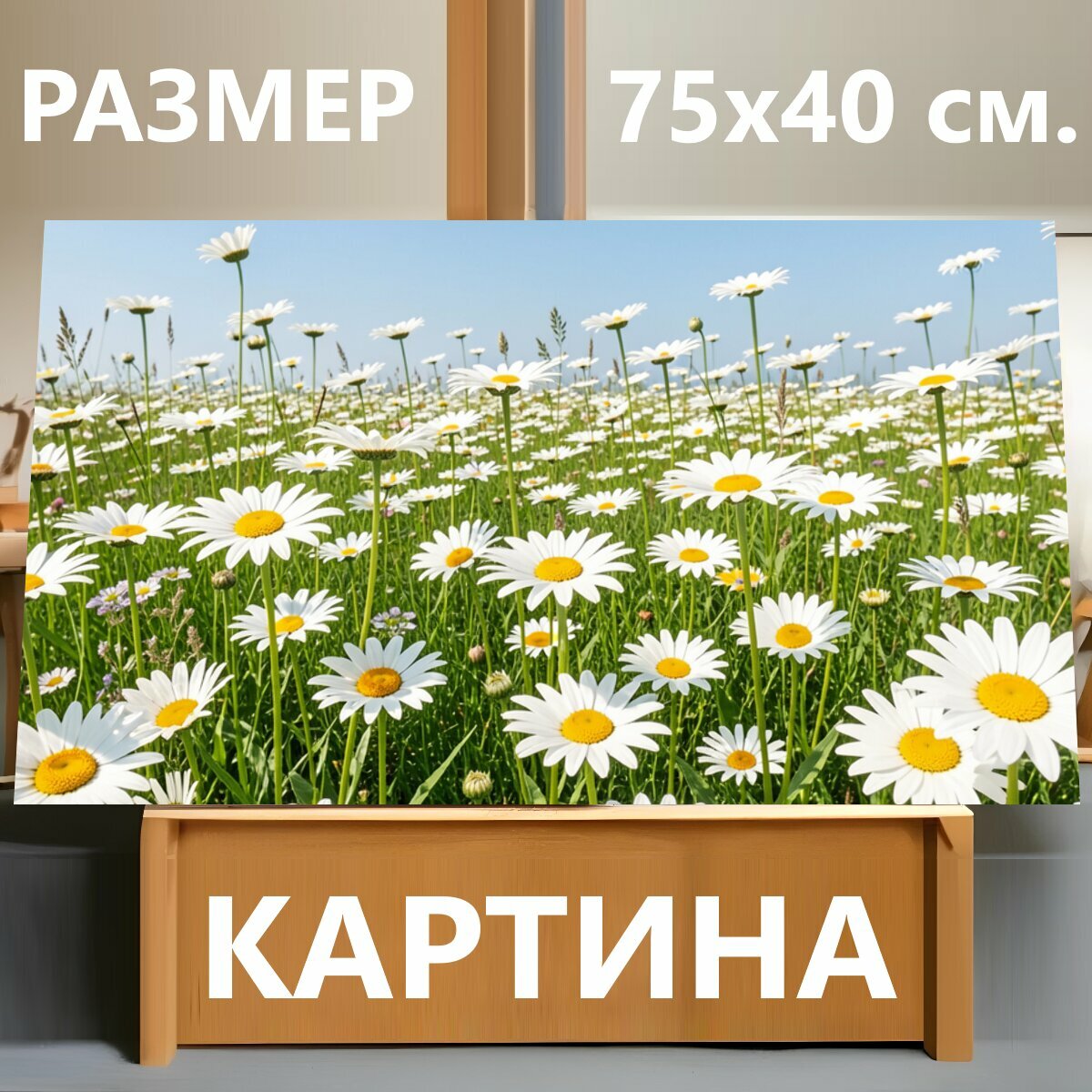 Картина на холсте "Полевые ромашки под ясным небом. Летний цветущий луг с множеством белоснежных цветов и сочной зеленью под чистым голубым." на подрамнике 75х40 см. для интерьера