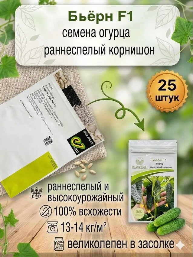 Огурец Бьёрн F1, раннеспелый, семена, 25 штук.