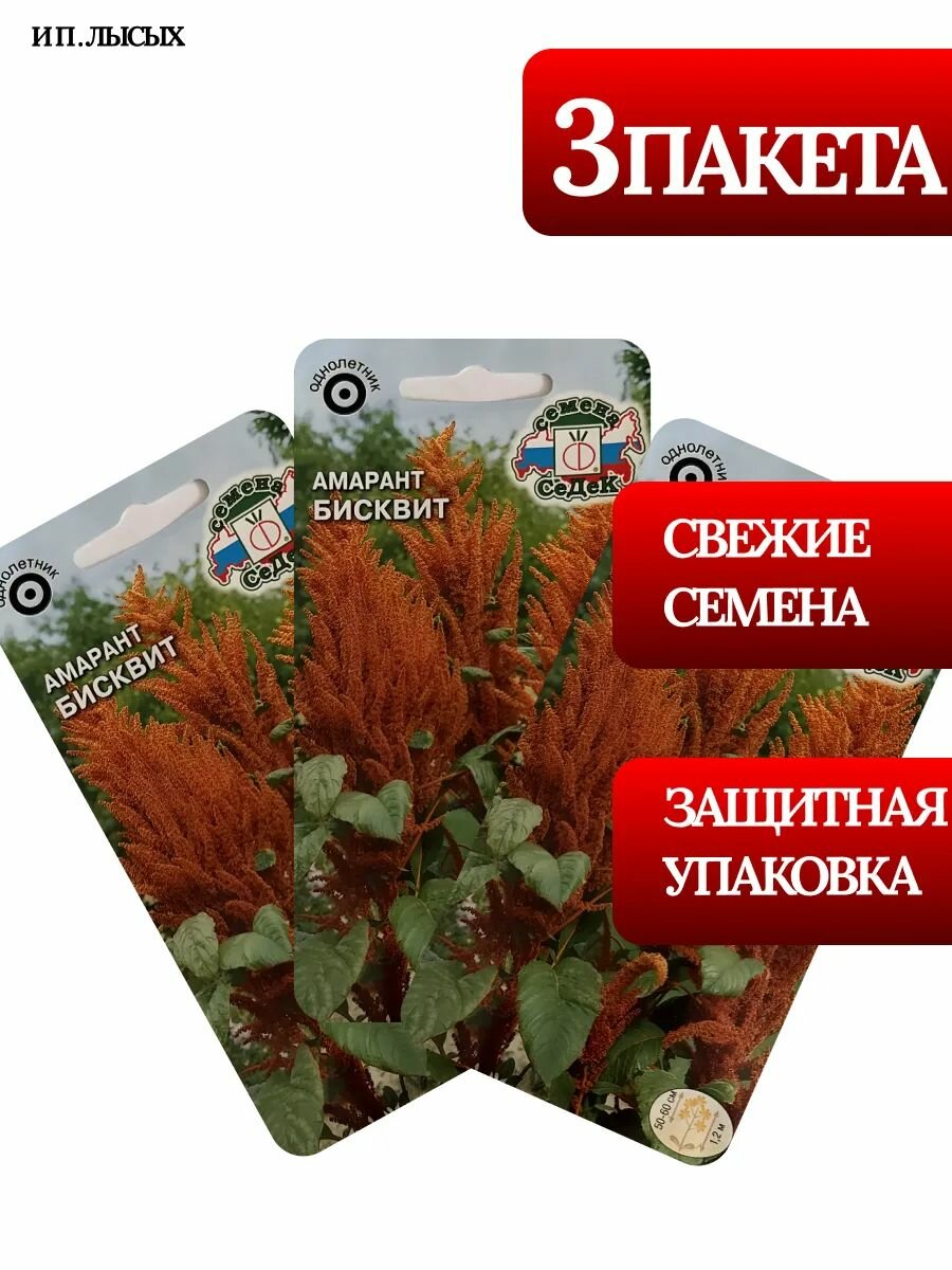 Семена Амарант "Бисквит"
