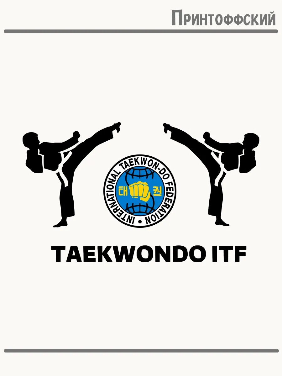 Термонаклейка для одежды и аксессуаров DTF-печать капибара прикол мем