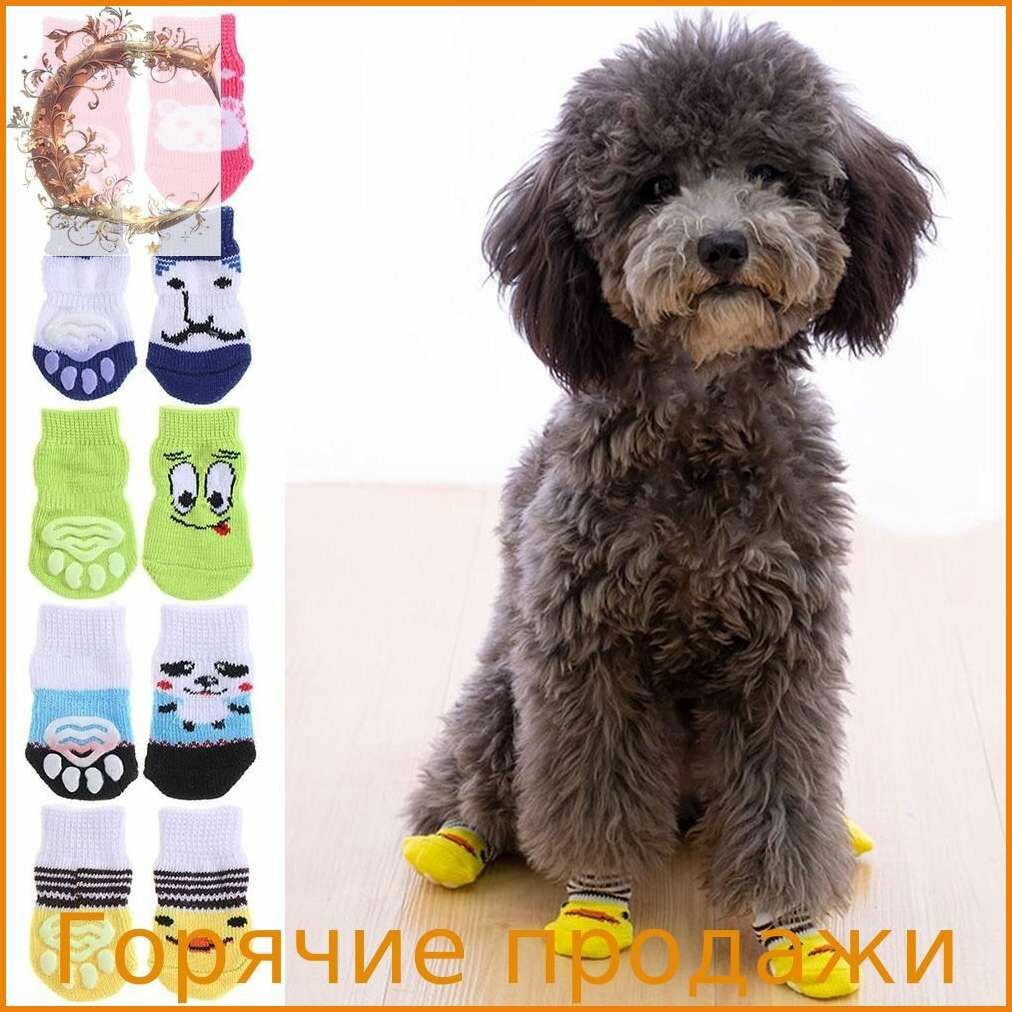 Собака Носки — фото 1