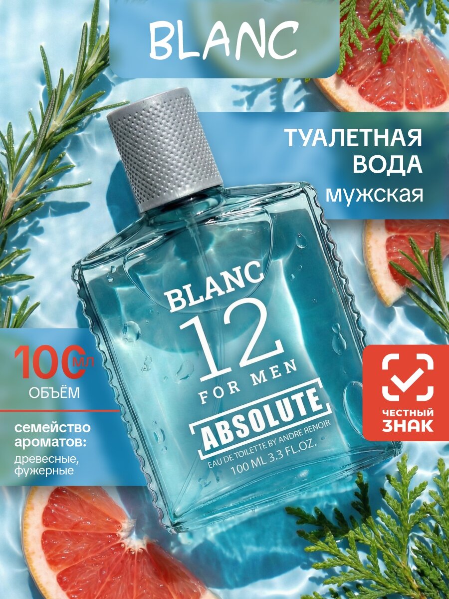Туалетная вода мужская Today Parfum Absolute Blanc древесный фужерный аромат 100 мл
