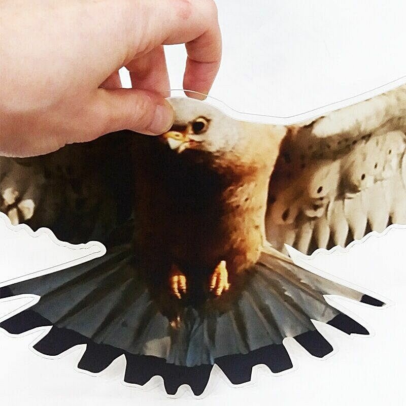 Визуальный отпугиватель птиц Хищник-4, пугало, 700х340 мм.