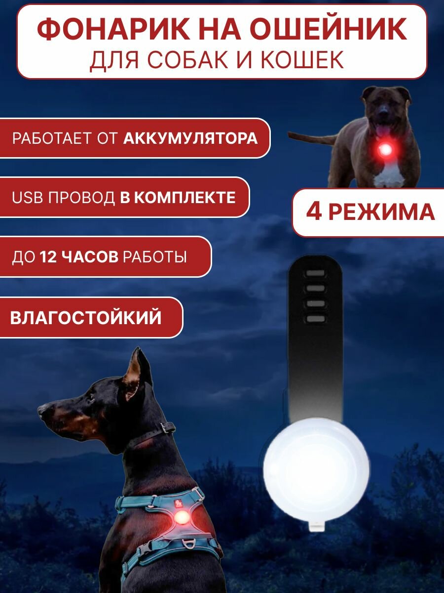 Светодиодный фонарик на ошейник для собак и кошек, с USB зарядом, для любых пород собак и кошек, влагонепроницаемый, Черный, AVR Company