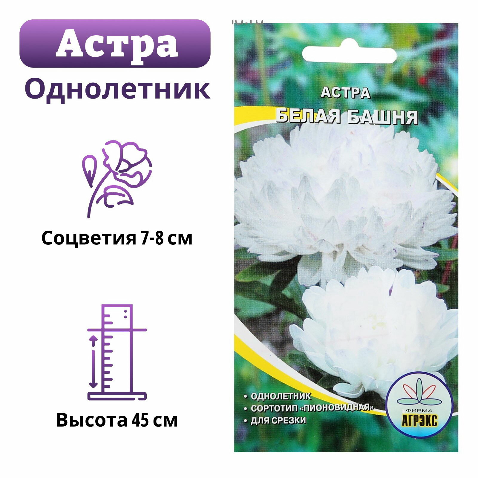Семена цветов Астра пионовидная "Белая башня", 0.2 г, вид: астра, 3 шт.