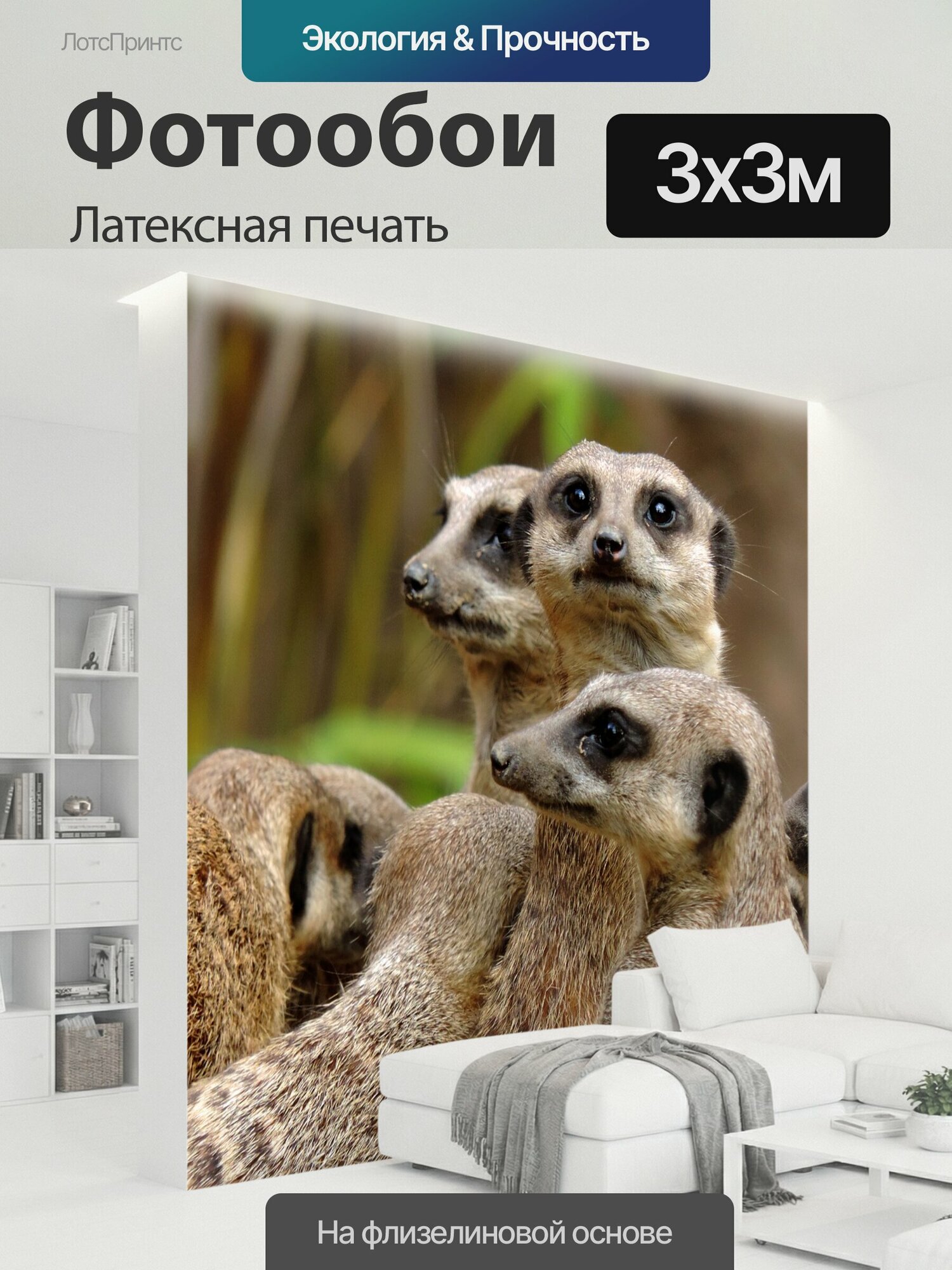 Фотообои моющиеся ударопрочные "Сурикат, мангуста, suricata" 300x300 см. латексная печать