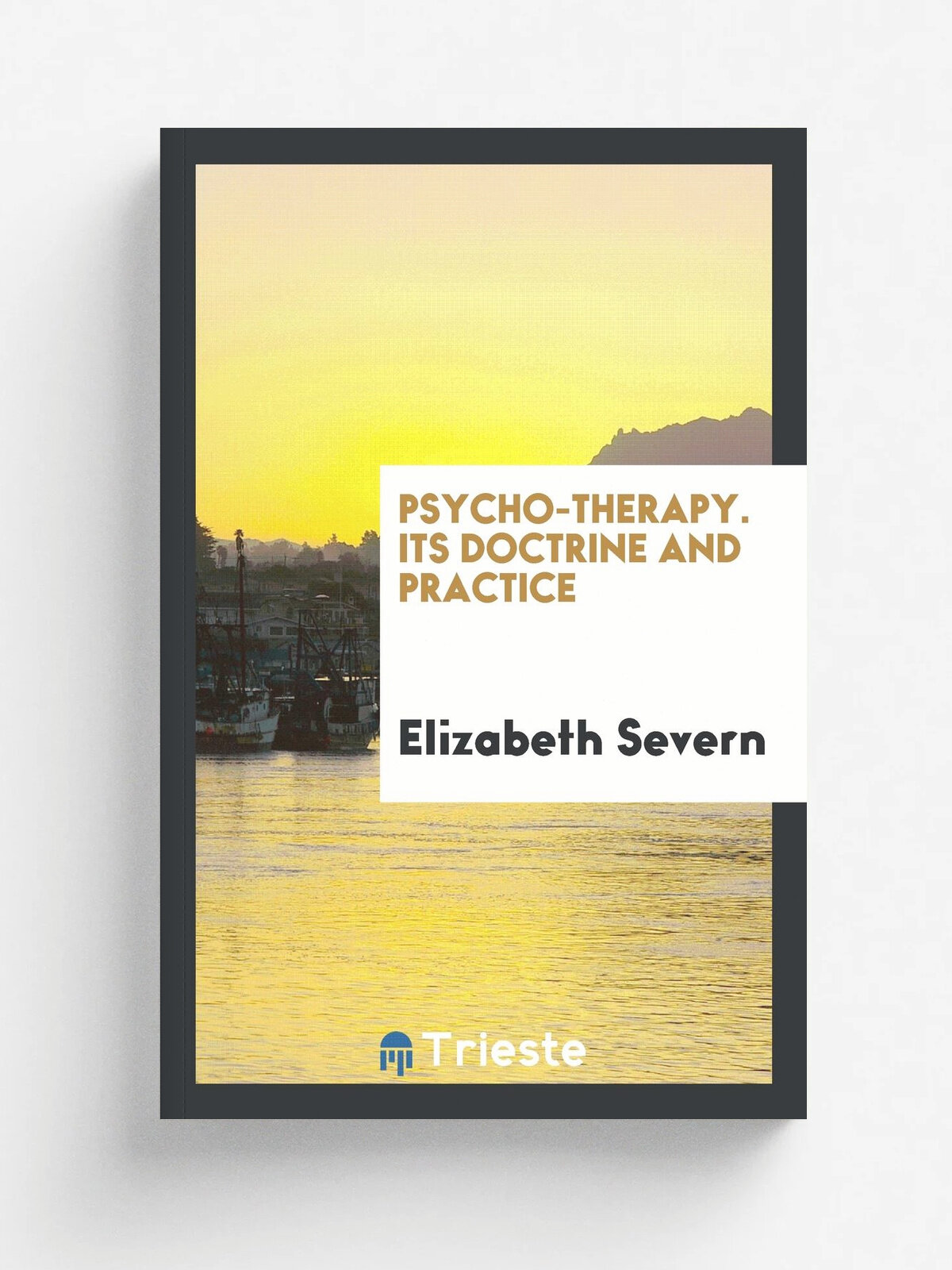 Psycho-therapy, its doctrine and practice