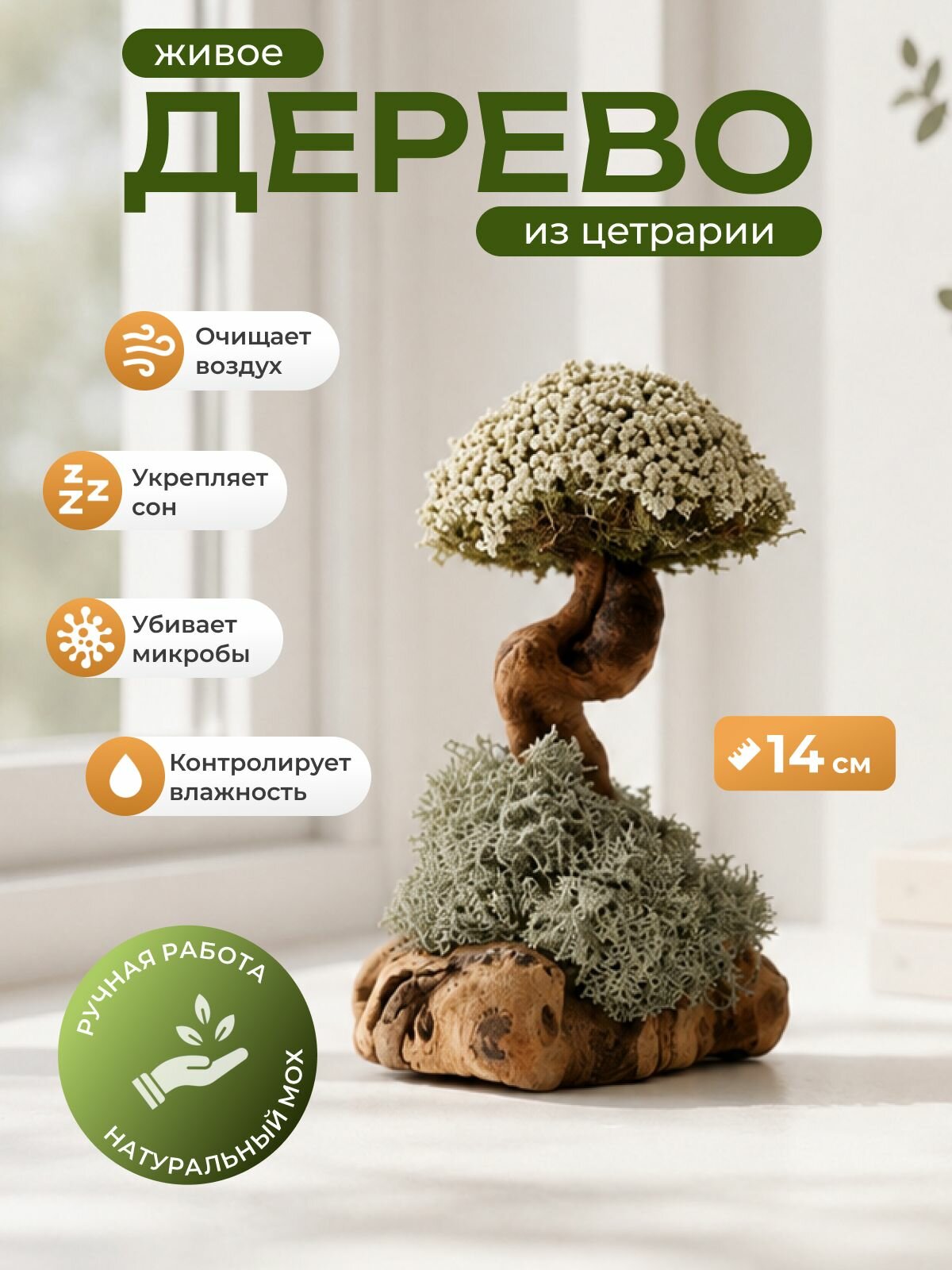 Интерьерное Декоротивное дерево из исландского мха Цетрария